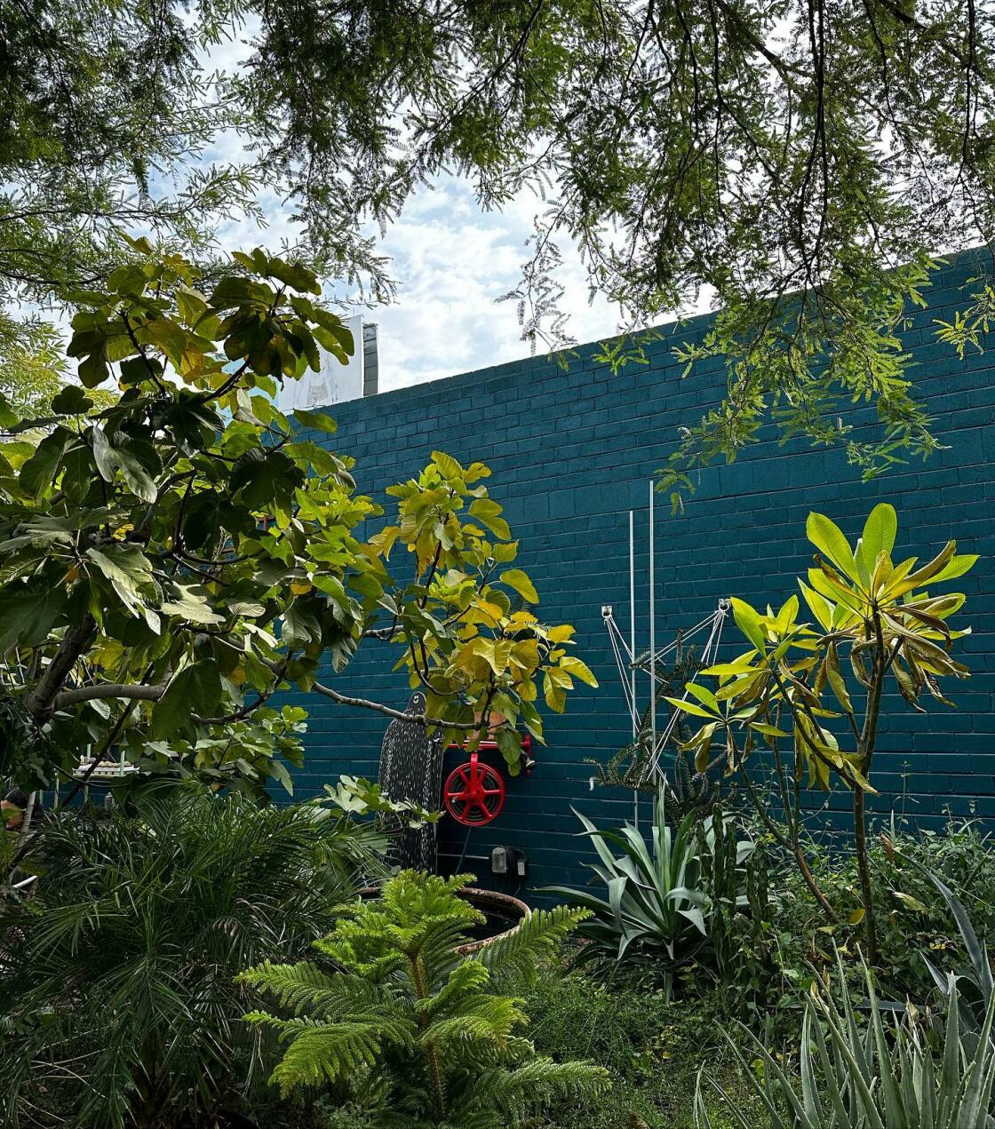 Landforms | Life, curated.